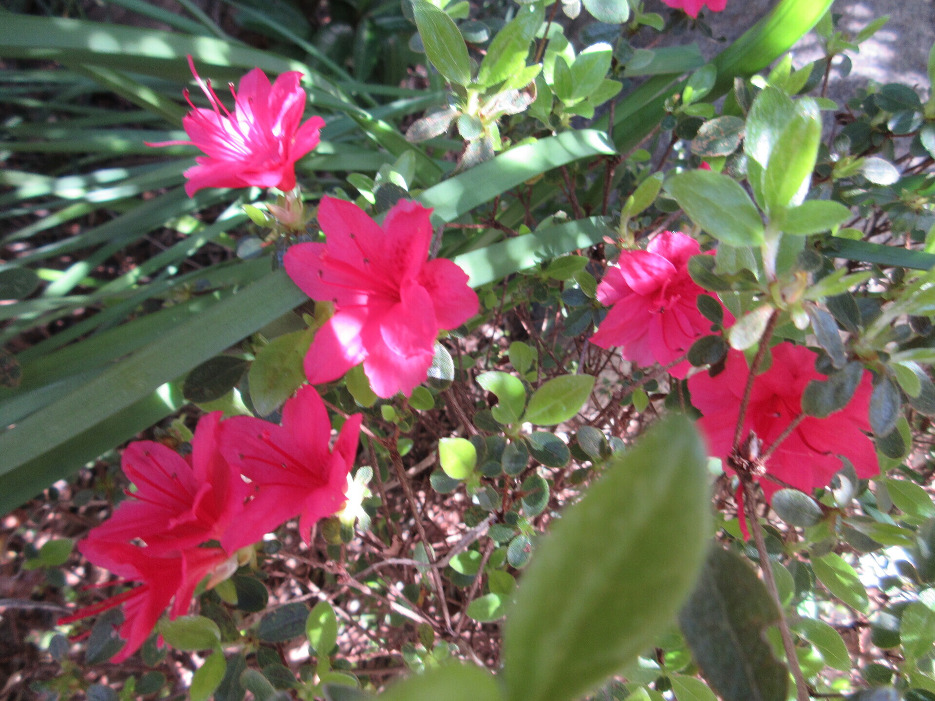 06/04/12: 独居老人の日常生活
