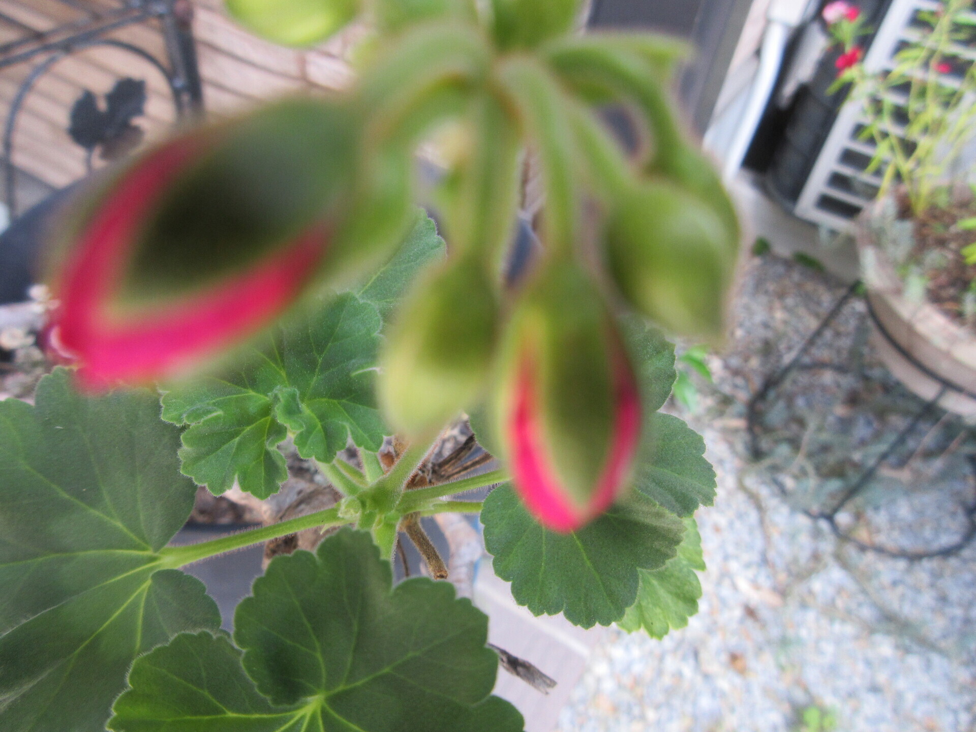 06/10/09: 独居老人の日常生活