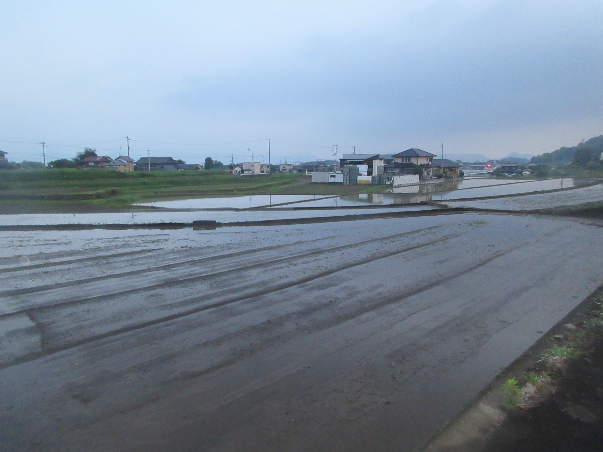 05/06/16 : 独居老人の日常生活